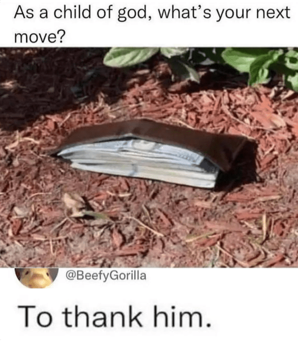 Mind-LESS Memes for Stupid Funny Logic Photo Captions 2024 New Picture