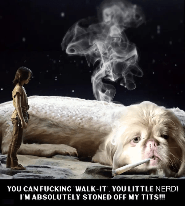 PG-13 Memes for Dirty Minded R-rated yet SFW funny Photo Captions