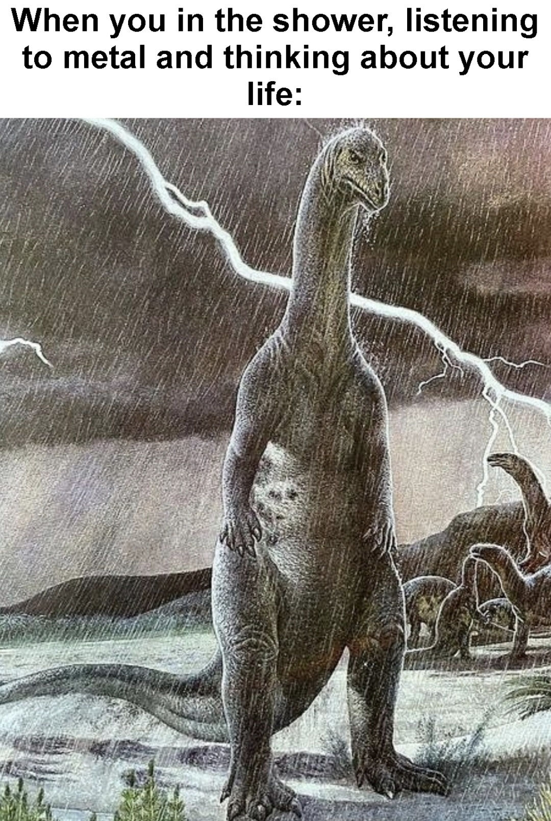 Memes Spot On Wisdom are Stupid-ly Simple Photo Captions