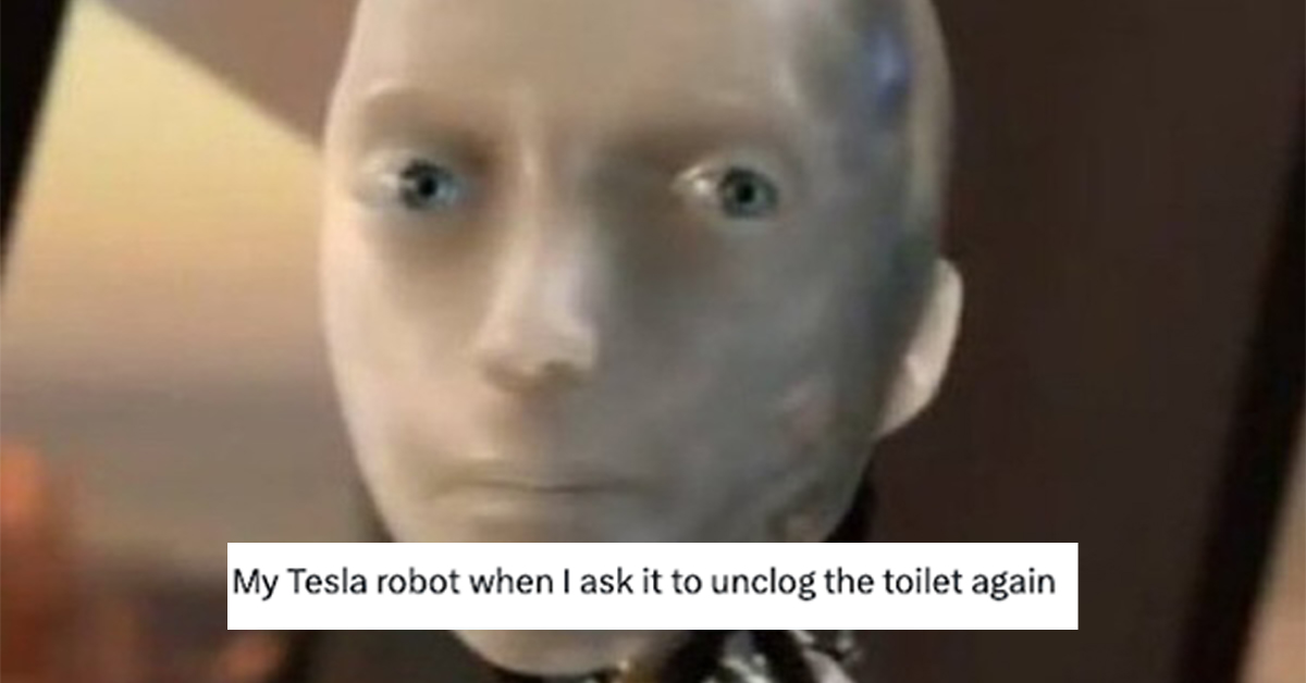 Tesla robots are the perfect $30K butlers/BFFs/scapegoats