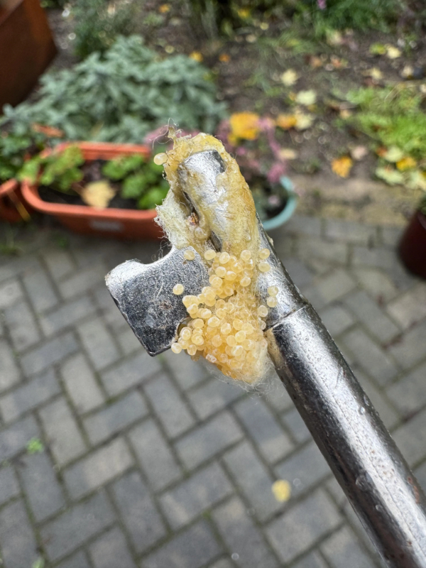 If You’re Having a Bad Day Clap Your Hands!