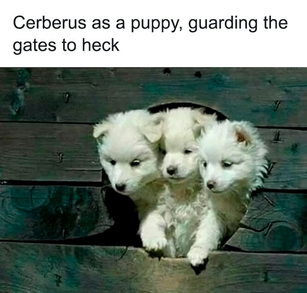 The Wizarding World of Memes is magical