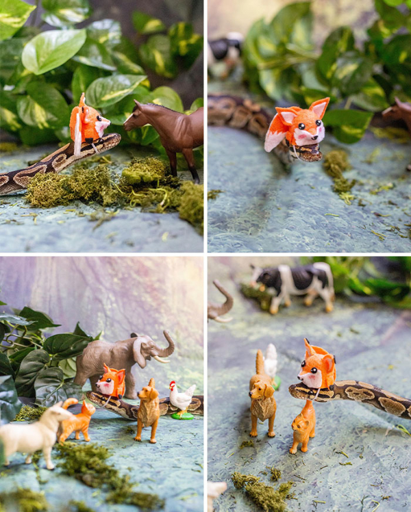 Halloween Pet Costumes That Made Us All Quiver With Adoration