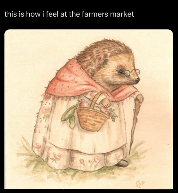 Once upon a time, there were hilarious children's book memes