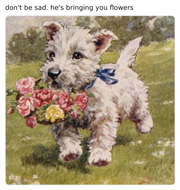 Once upon a time, there were hilarious children's book memes
