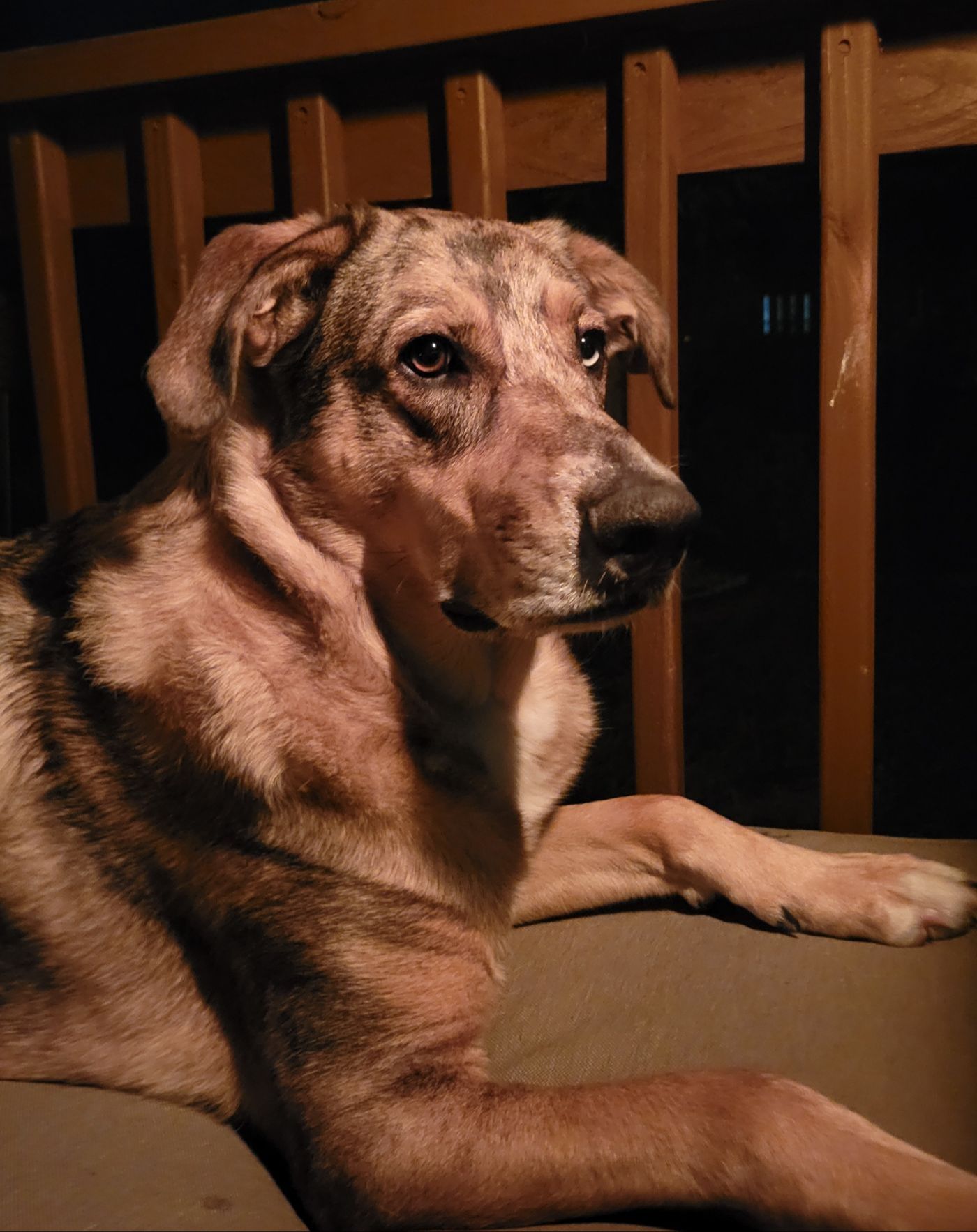 Throw a Bone to the Good Boys