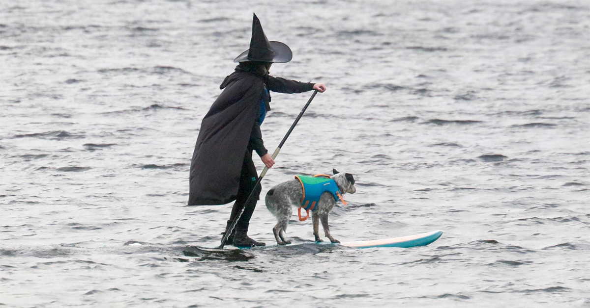 Daily Morning Awesomeness | Awesome Morning Pics, Gifs & More - theCHIVE