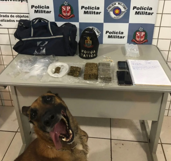 Law Enforcement Dogs Who Did a GOOD JOB!