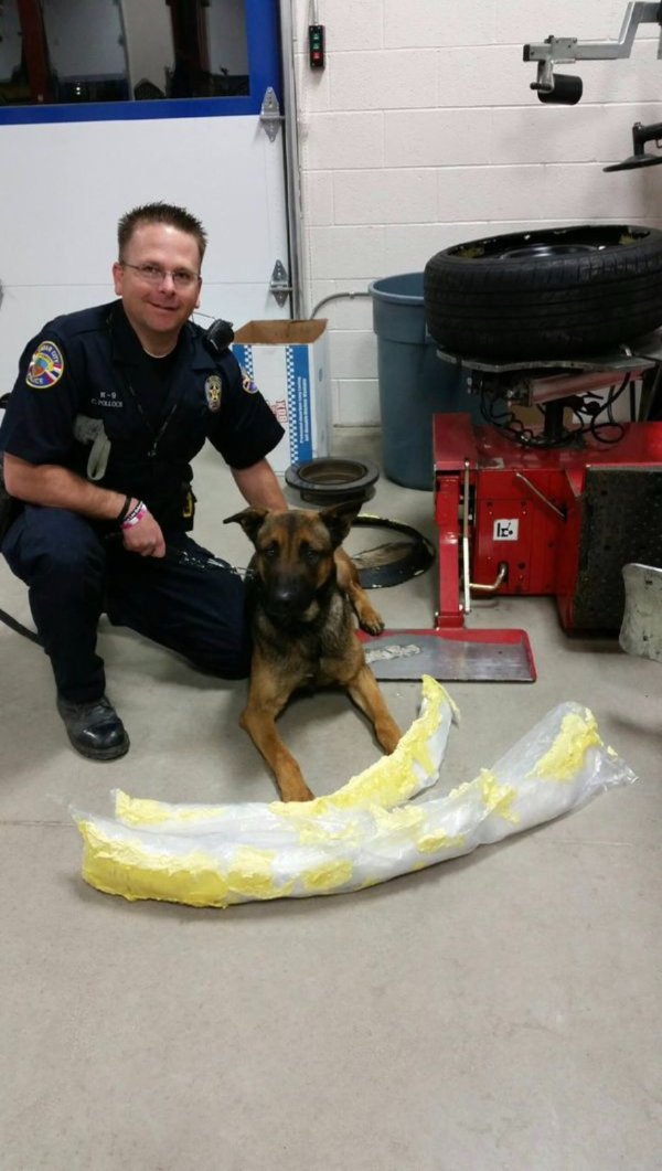 Law Enforcement Dogs Who Did a GOOD JOB!