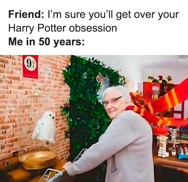 The Wizarding World of Memes is magical