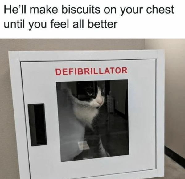 Your Weekly Dose of Wholesome Happiness