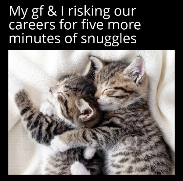 Boy, These Memes Are Dank!