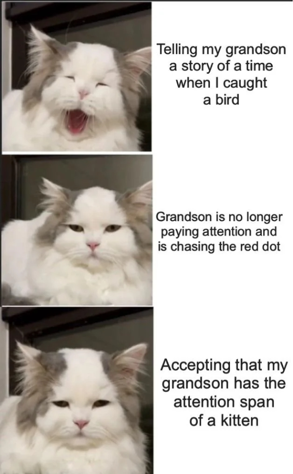 Dank Memes Make My Day Better Okay?