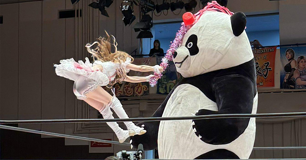 Daily Afternoon Randomness | Random Memes, Photos & Gifs - theCHIVE