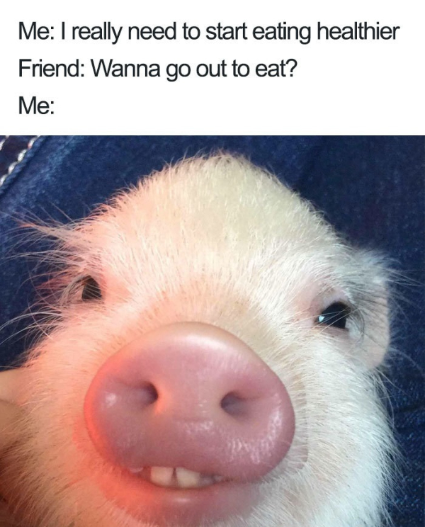“Foodie” Memes To Consume With a Side of Laughs