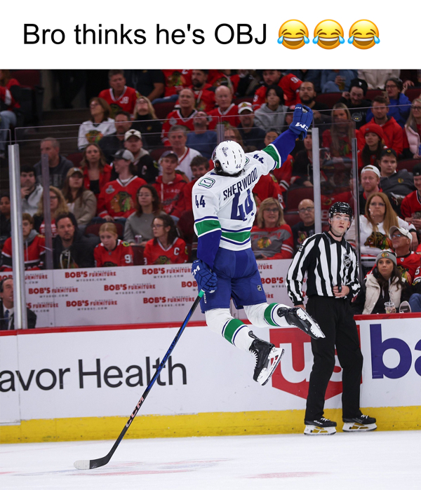 Hit the ice with a frozen frenzy of NHL memes