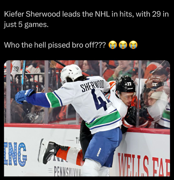 Hit the ice with a frozen frenzy of NHL memes