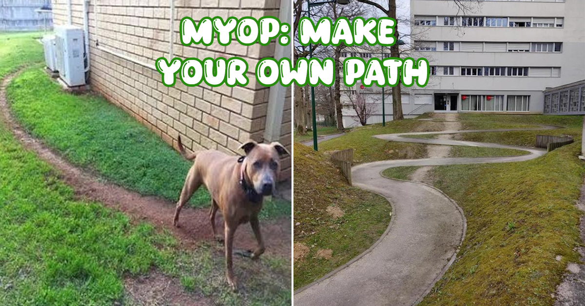 Desire paths showcase the urge to "Go Your Own Way" - Fleetwood Mac