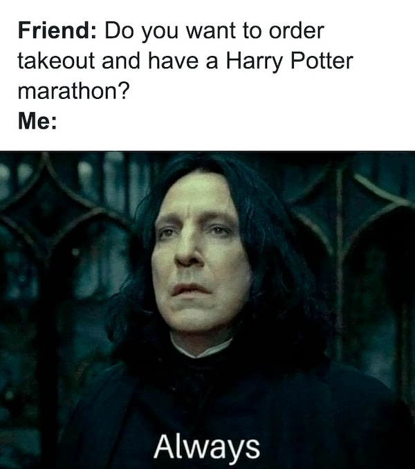 The Wizarding World of Memes is magical