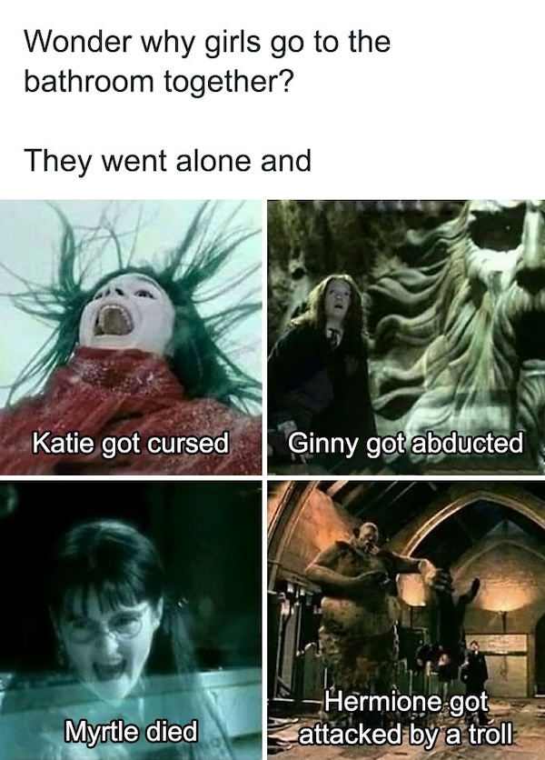 The Wizarding World of Memes is magical