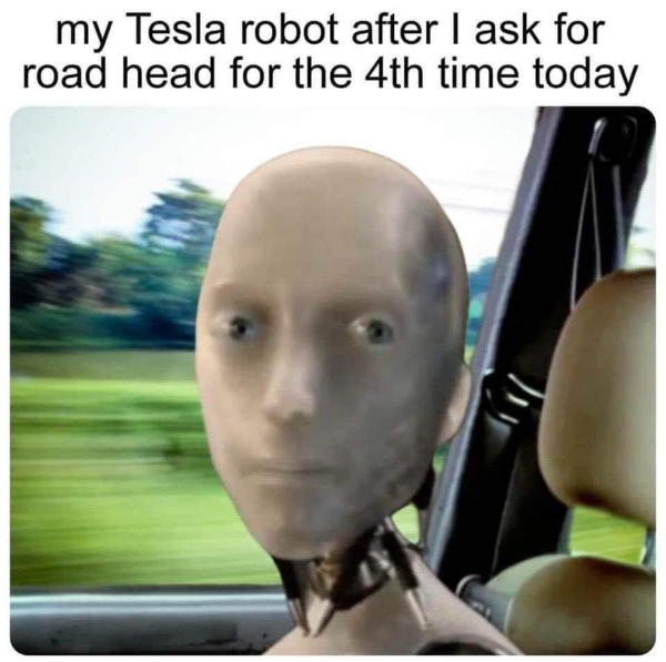 Boy, These Memes Are Dank!