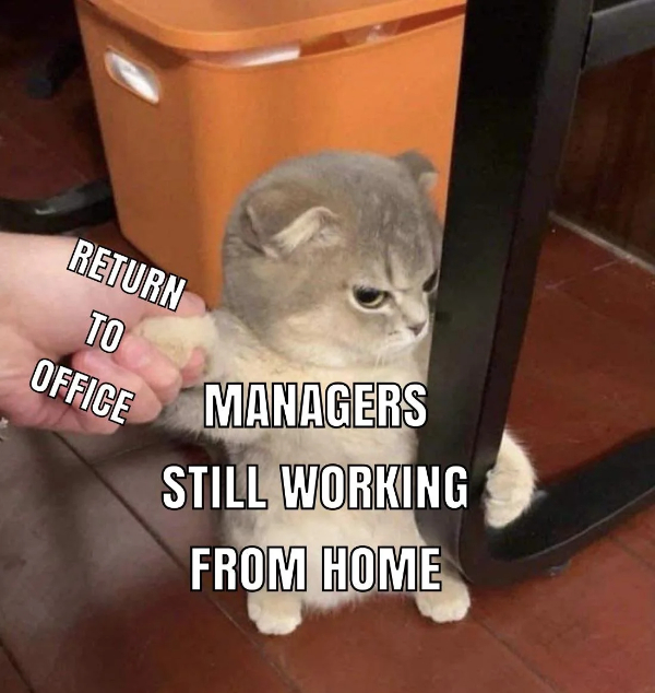 Dank Memes Keep the World Laughing