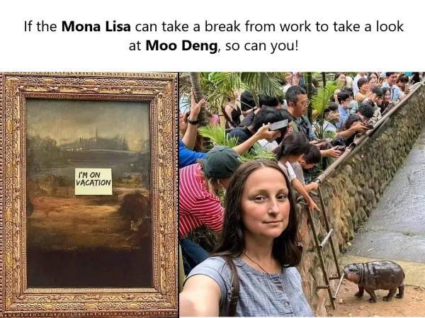 Dank Memes Keep the World Laughing