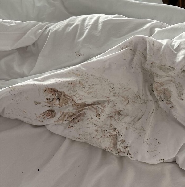 These people need a vacation from their terrible vacations