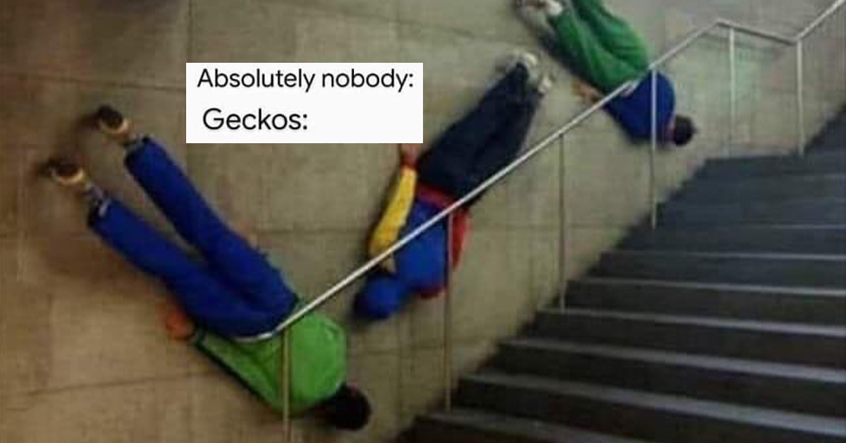 Funny Memes | The Funniest and Most Hilarious Memes Ever - theCHIVE