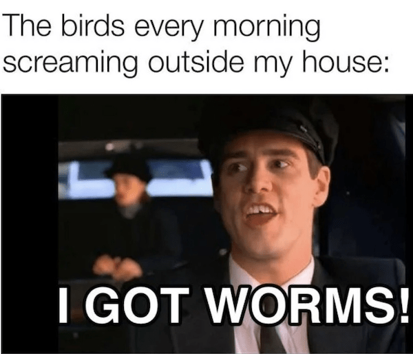 Cheesy Memes Funny Work Morning Photo Captions Best New 2024 Picture