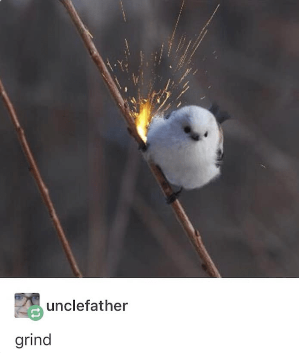 Cheesy Memes Funny Work Morning Photo Captions Best New 2024 Picture