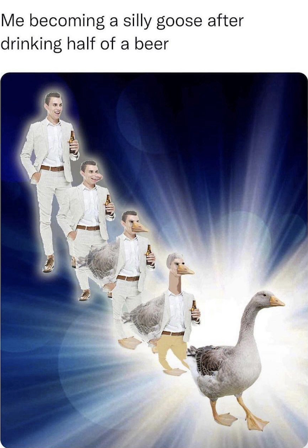 Cheesy Memes Funny Work Morning Photo Captions Best New 2024 Picture