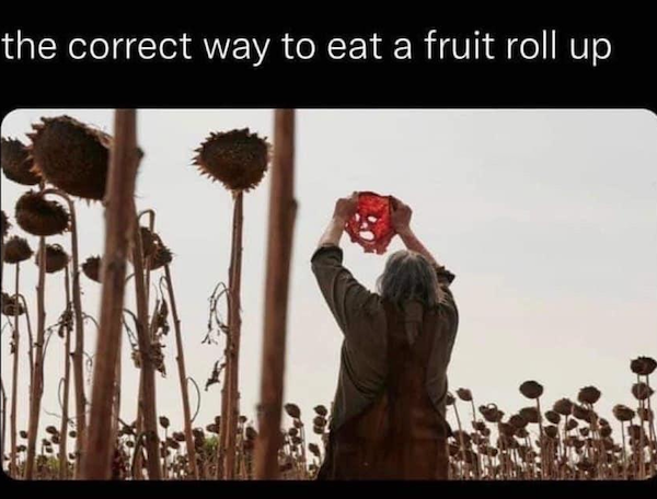 Cheesy Memes Funny Work Morning Photo Captions Best New 2024 Picture