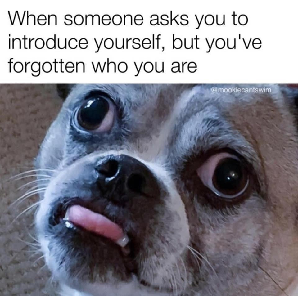 Cheesy Memes Morning Sucks Funny Photo Captions Top Randomness Picture