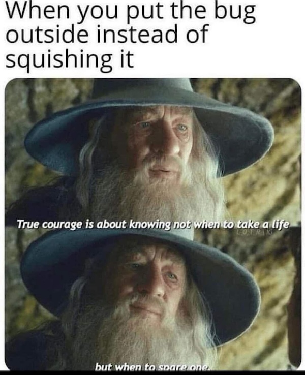 Geeky memes with a side of Halloween for good measure