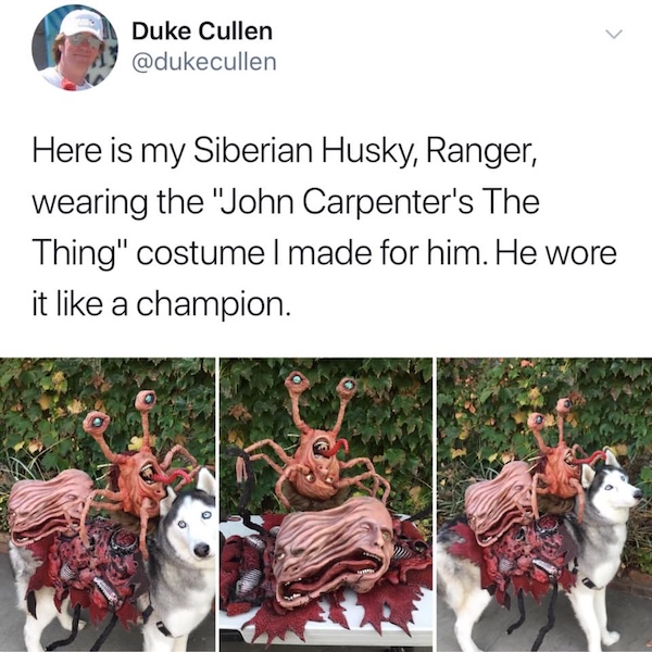 Geeky memes with a side of Halloween for good measure