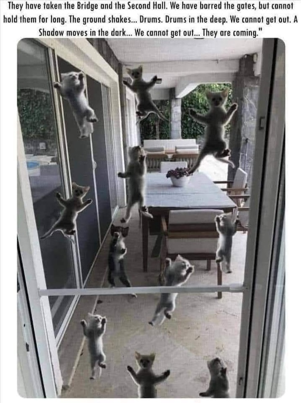 Geeky memes with a side of Halloween for good measure