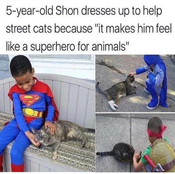 NAILed IT Memes of All the Mindless Dumb Logic Best CaptionS 2024