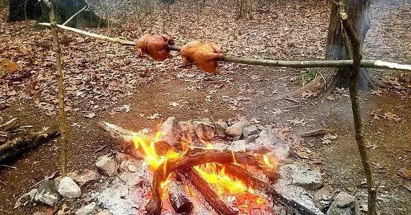 25 bushcraft pics proving cooking outdoors looks delicious