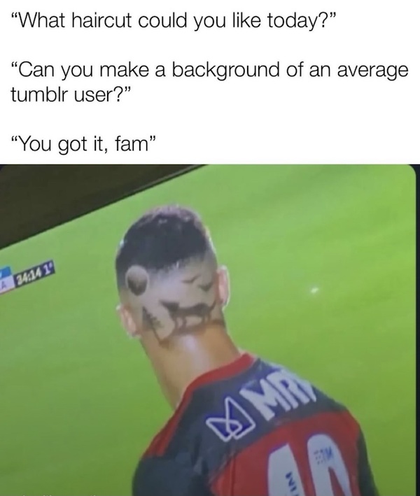 NAILed IT Memes of All the Mindless Dumb Logic Best CaptionS 2024