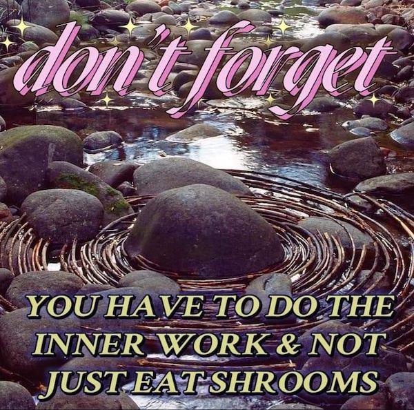 NAILed IT Memes of All the Mindless Dumb Logic Best CaptionS 2024