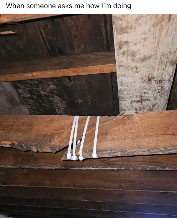 NAILed IT Memes of All the Mindless Dumb Logic Best CaptionS 2024