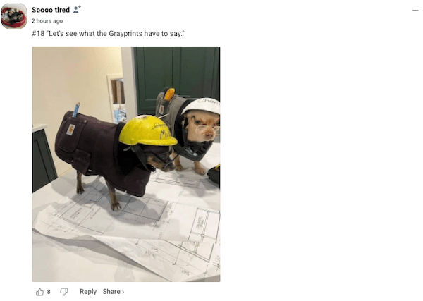 Top comments from theCHIVE nation