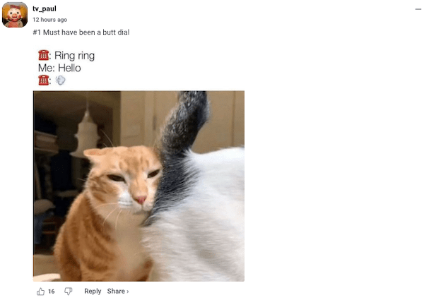 Top comments from theCHIVE nation