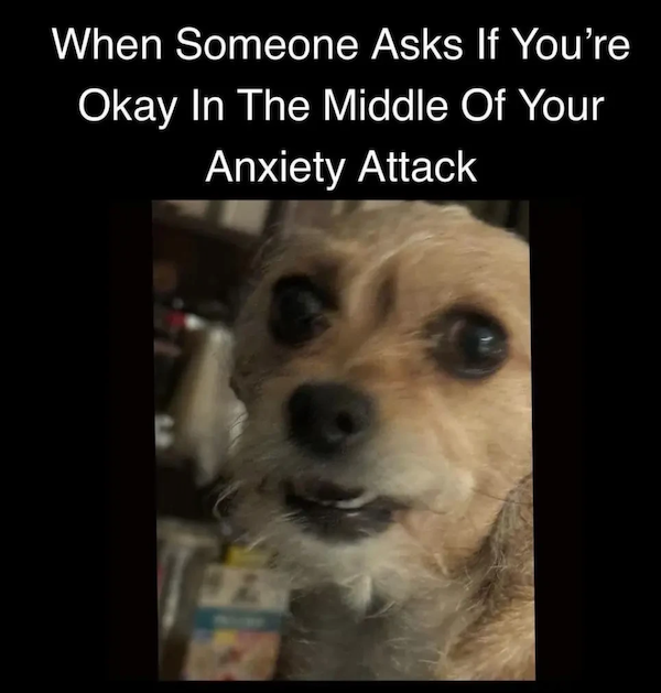 Anxiety memes that are guaranteed to soothe your nerves