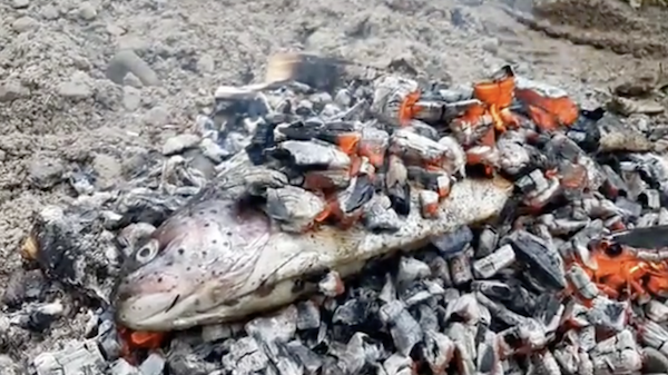 25 bushcraft pics proving cooking outdoors looks delicious