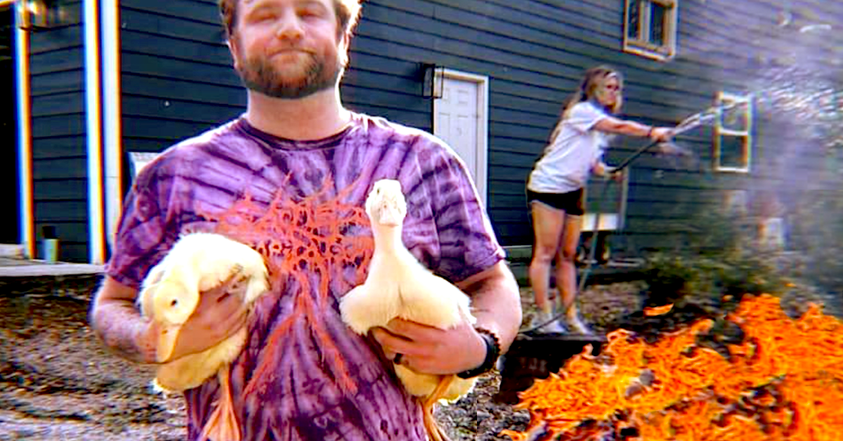 Daily Afternoon Randomness | Random Memes, Photos & Gifs - theCHIVE