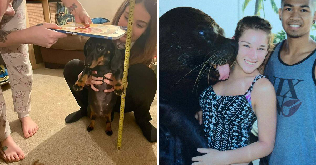 Funny Animal Pictures | Funny Pet Videos - theCHIVE