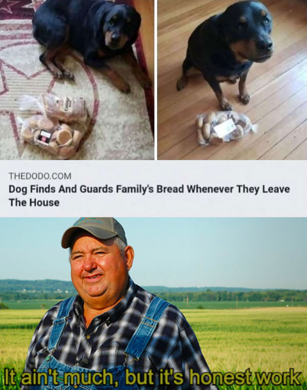 Bask in the Wholesome Happiness!