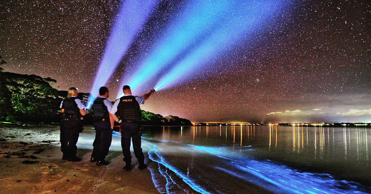 Daily Morning Awesomeness | Awesome Morning Pics, Gifs & More - theCHIVE